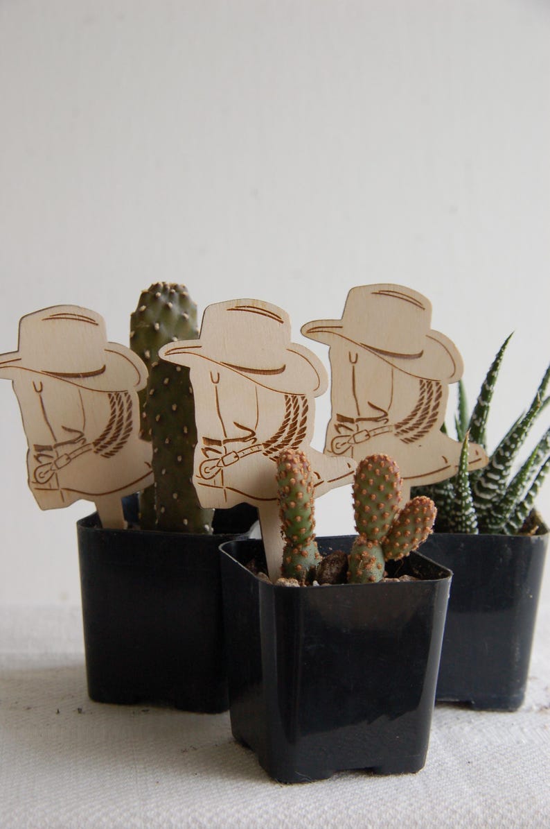 Western Themed Party Favor Plant Picks, Succulent Picks, Bridal Shower ...