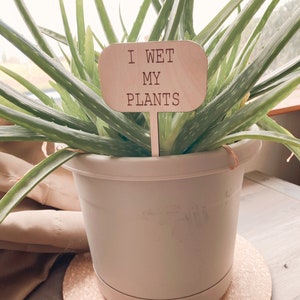 I'm Rooting for You | Funny Wood Plant Markers | Plant Picks ...