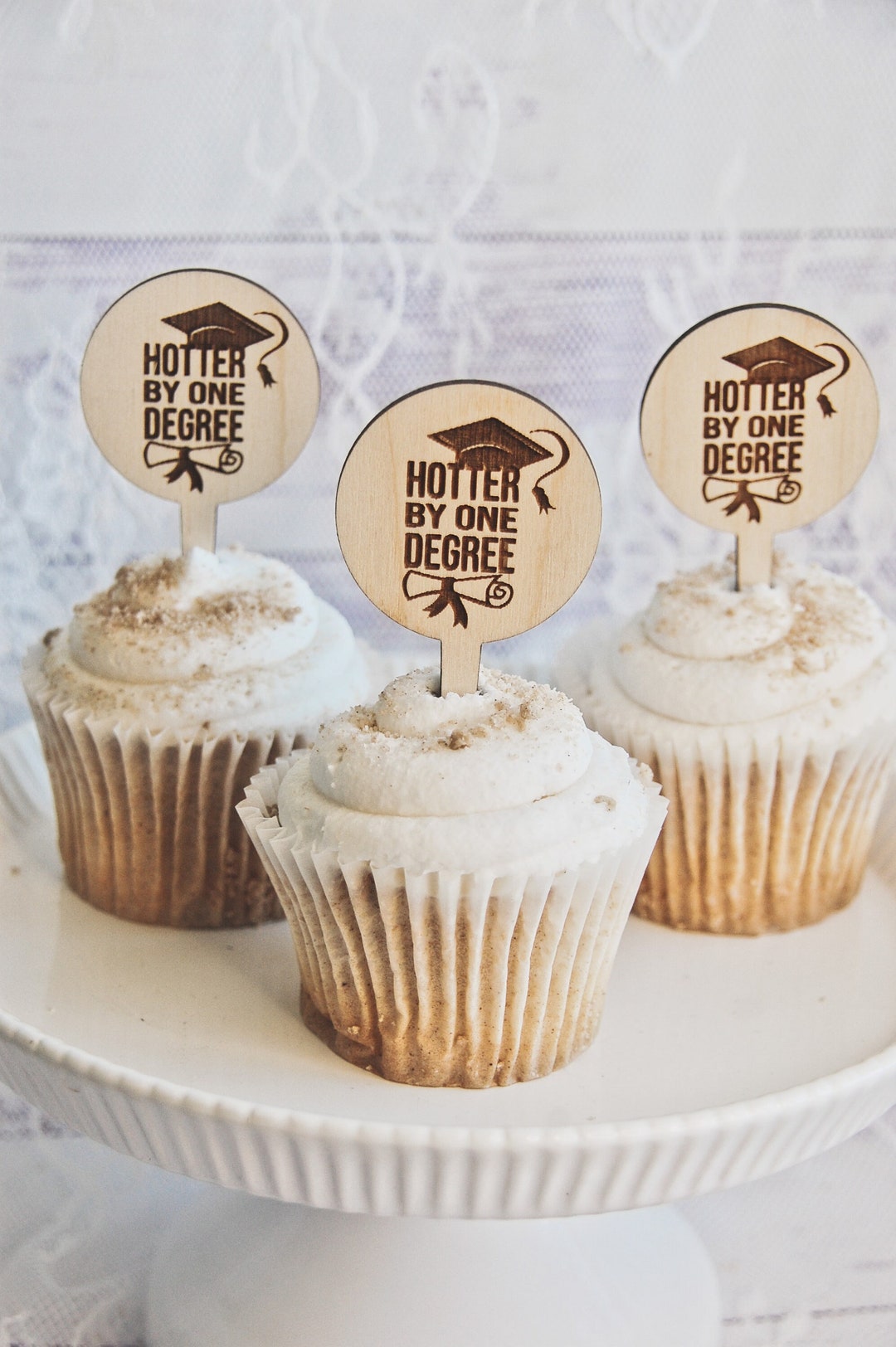Set of 12 College Graduation Cupcake Toppers, 2024 Cupcake Picks, 2024 ...