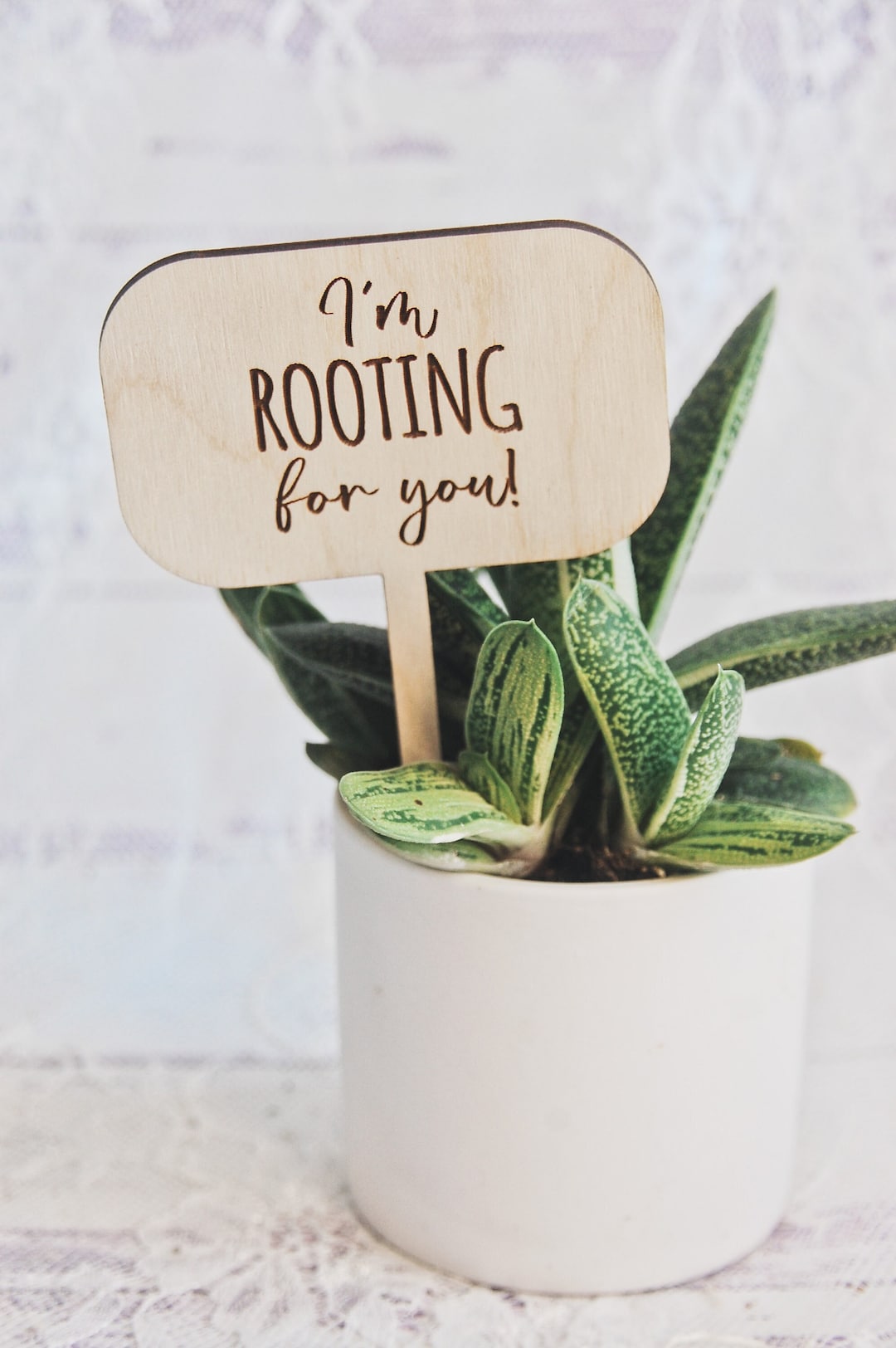 I'm Rooting for You | Funny Wood Plant Markers | Plant Picks ...