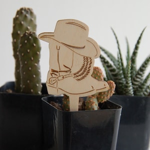 Western Themed Party Favor Plant Picks, Succulent Picks, Bridal Shower ...