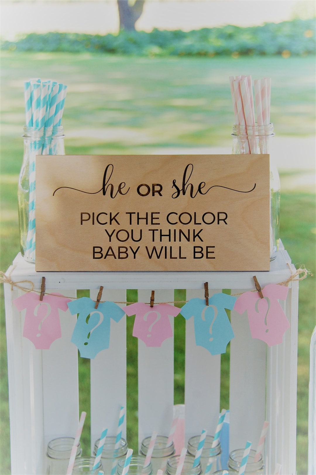 He or She Gender Reveal Sign, Summer Reveal BABY-Q, Baby Reveal BBQ ...