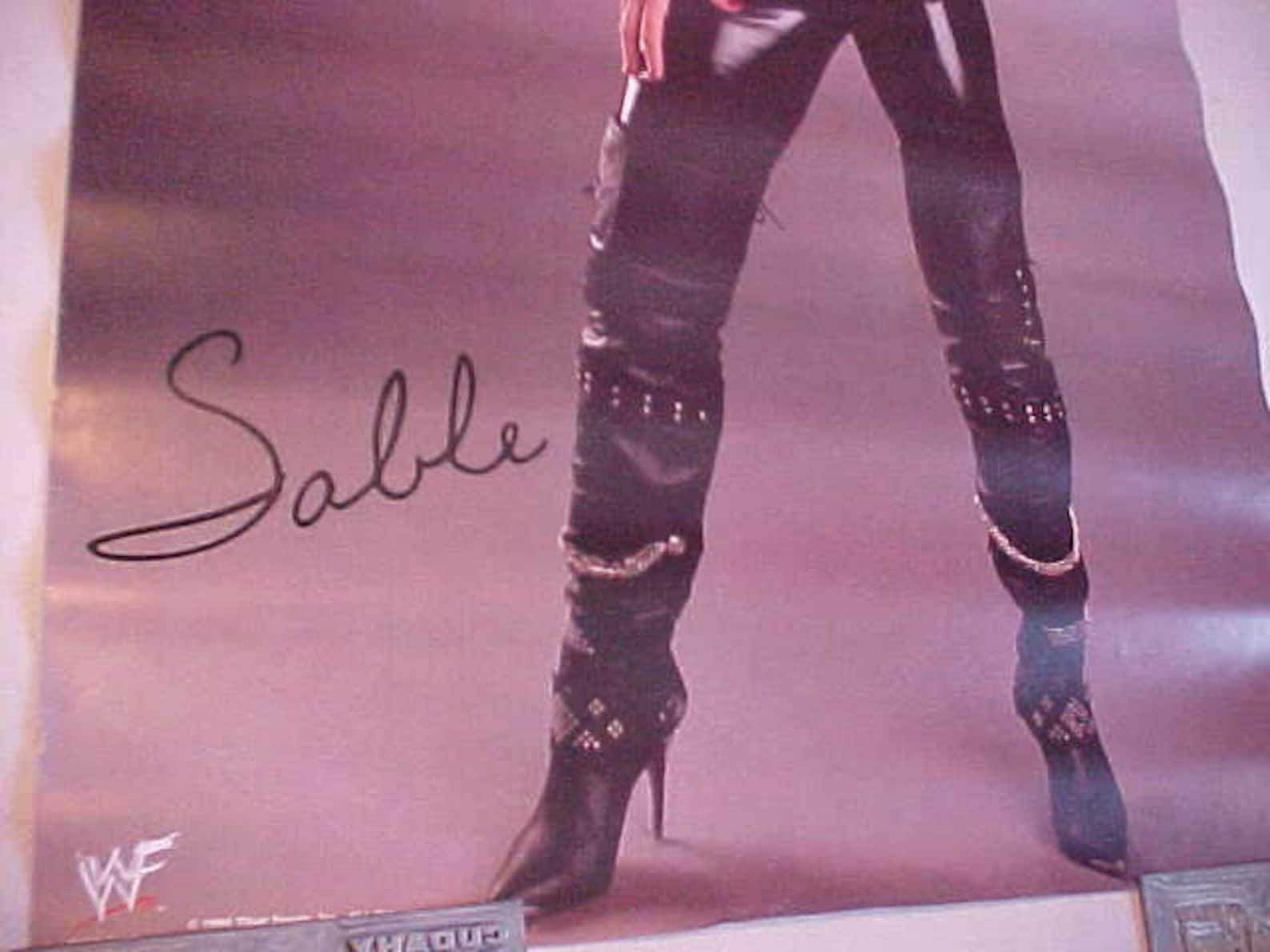 1998 SABLE WWF Color Poster Wrestling Womans Champion 22 | Etsy