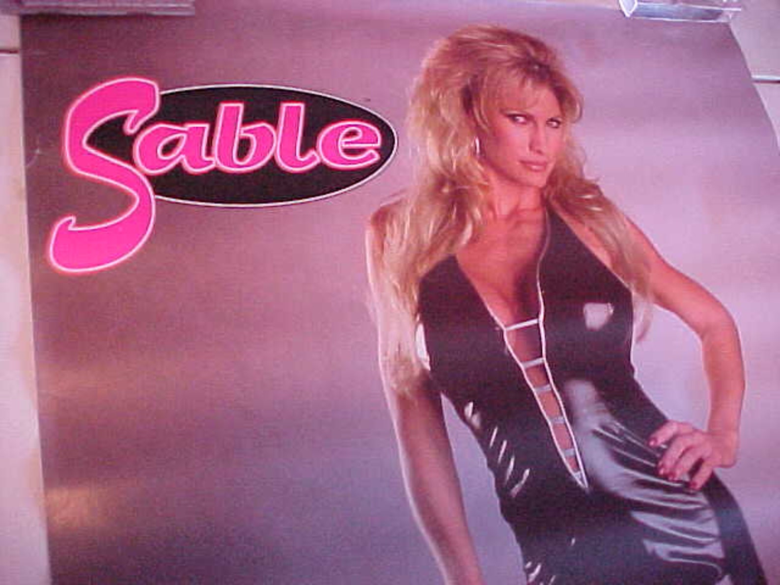 1998 SABLE WWF Color Poster Wrestling Womans Champion 22 | Etsy
