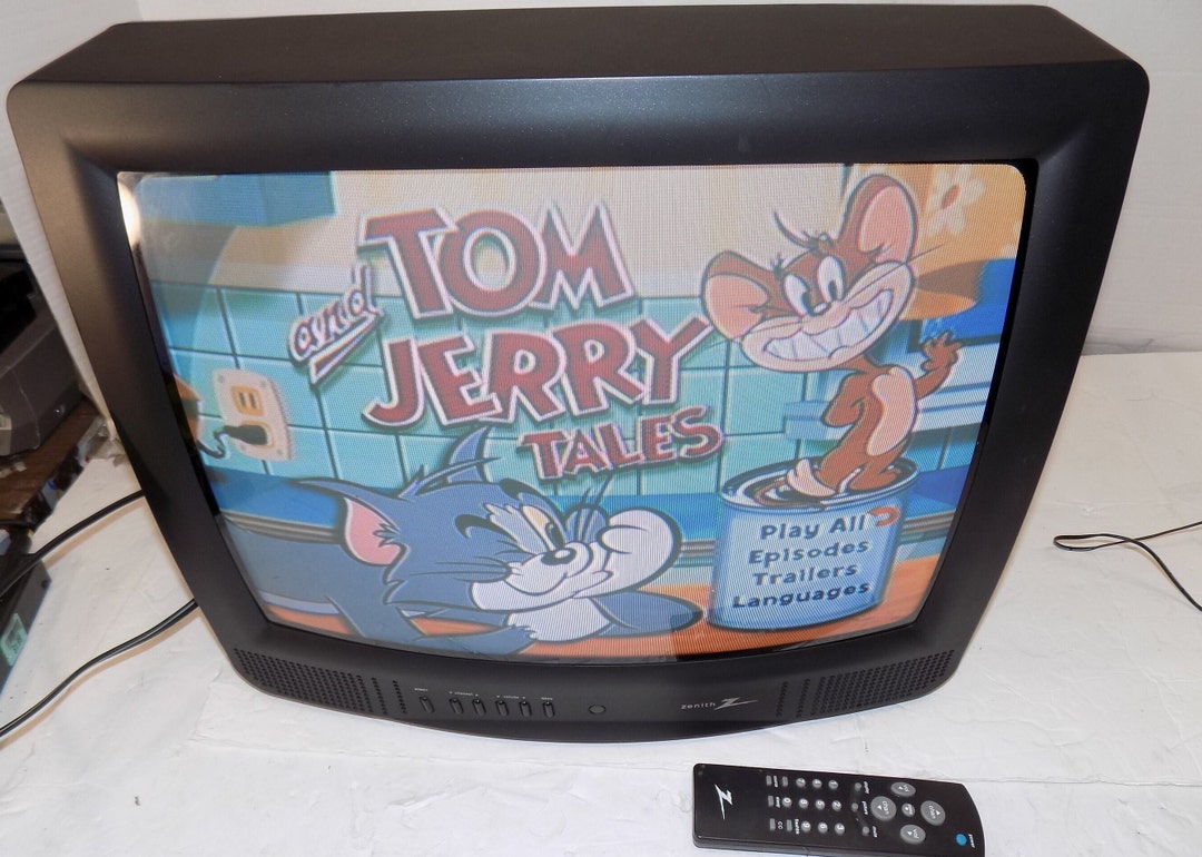 Zenith B19AO2D 19 Inch CRT Color TV Retro Gaming TV Television - Etsy