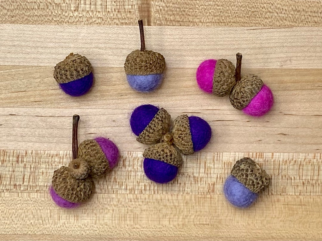 Wool Felted Acorns: Autumn Decor, Natural Caps, Fall Colors (set of 10 ...
