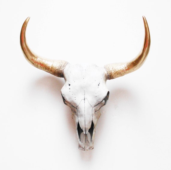 Dierenschedel Fotografie