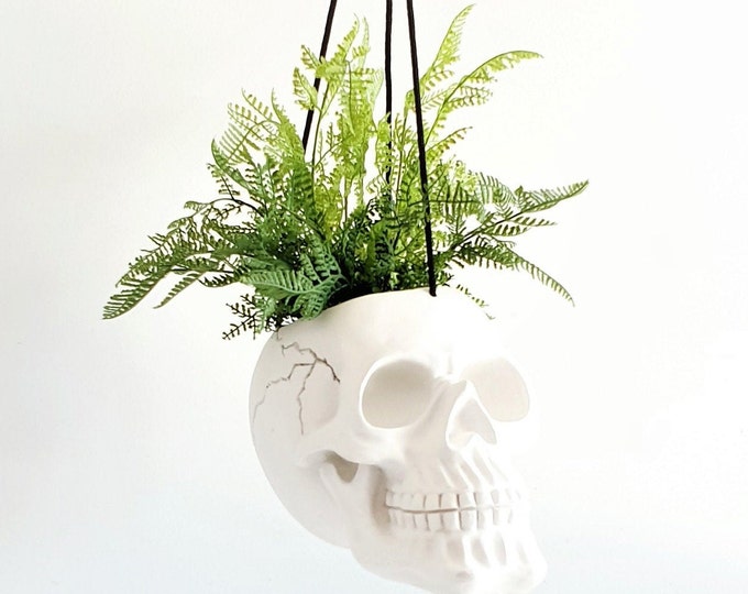 Hanging Skull Planter, Skull Planter, Indoor Planter, Hanging Planter ...