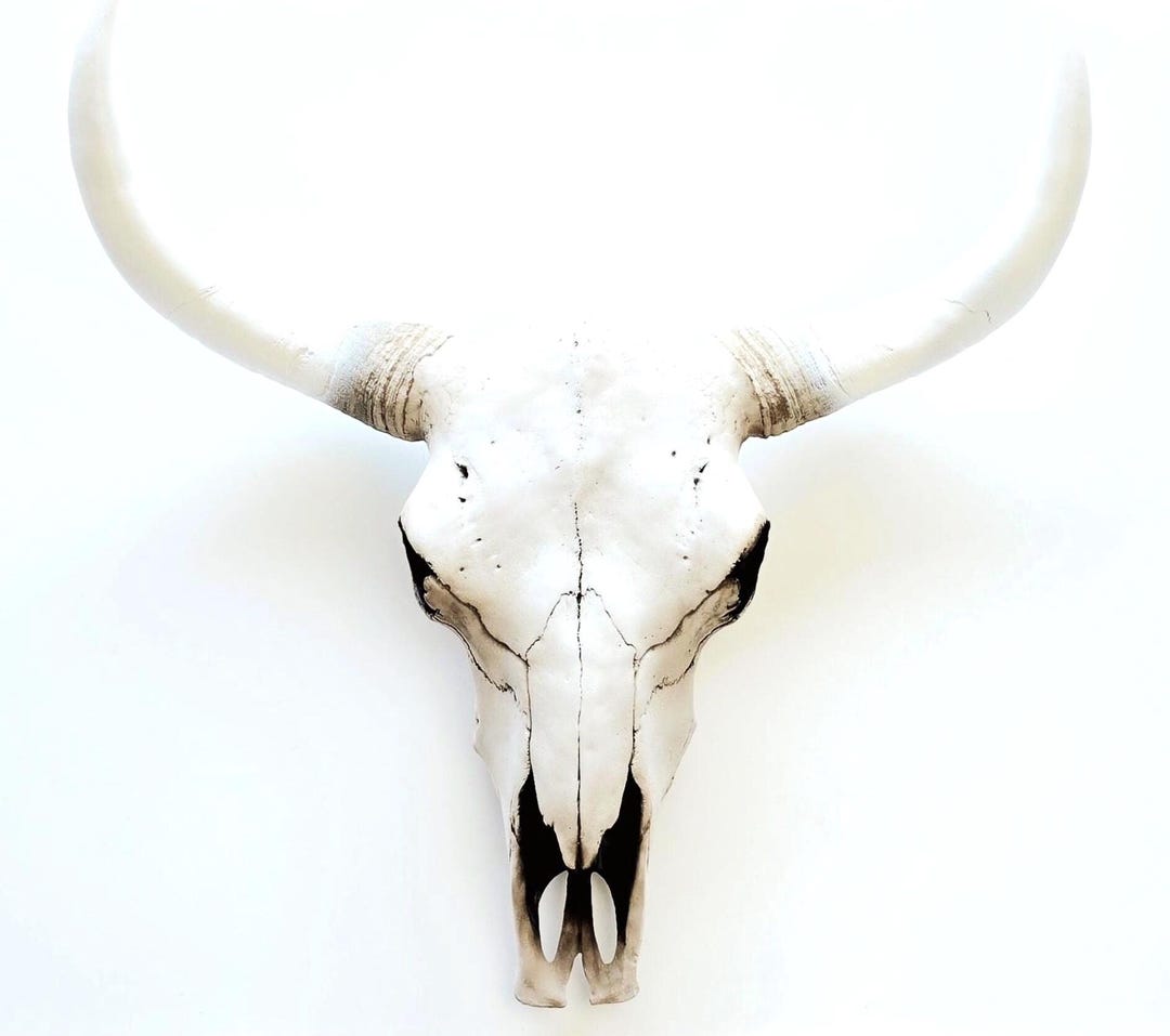 Large Cow Skull Wall Decor: Southwest Art, Midwest Decoration, Bison ...