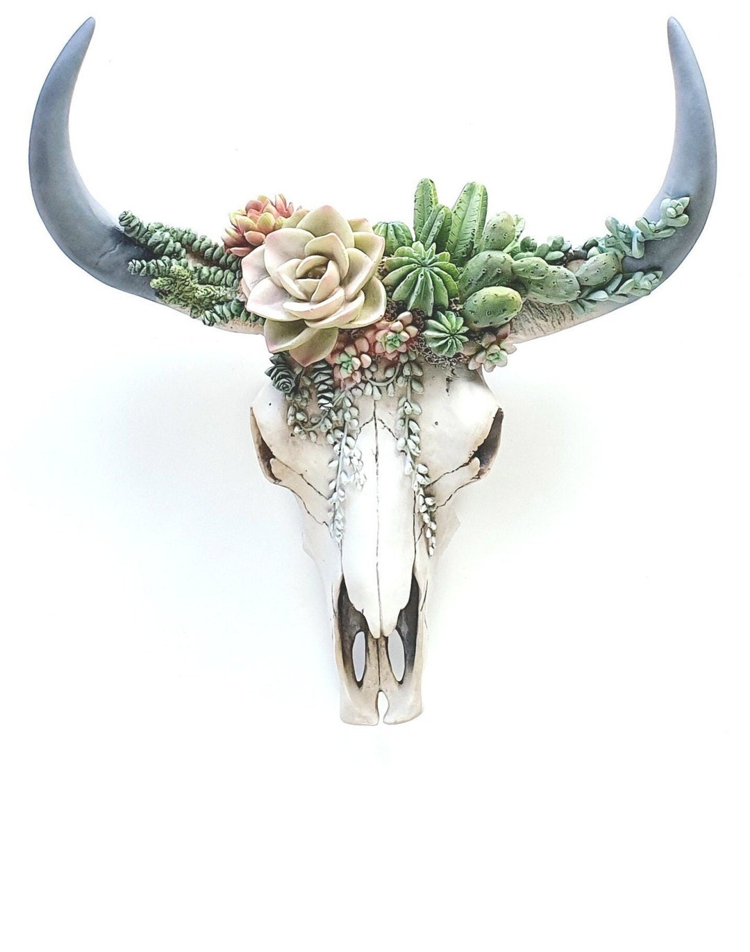 Cow Skull Wall Mount, Succulents, Cow Skull, Painted Cow Skull, Bull ...