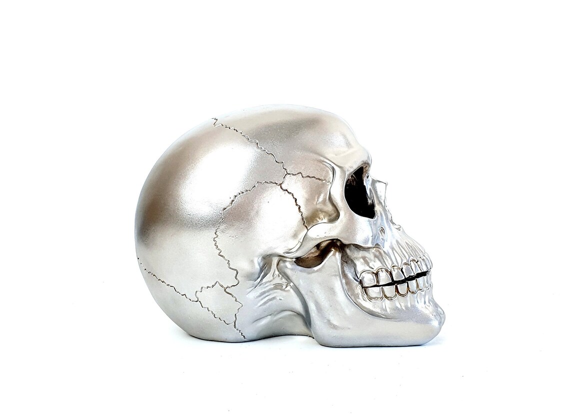 Skull Skull Gift Human Skull Painted Skull Skull Gifts - Etsy