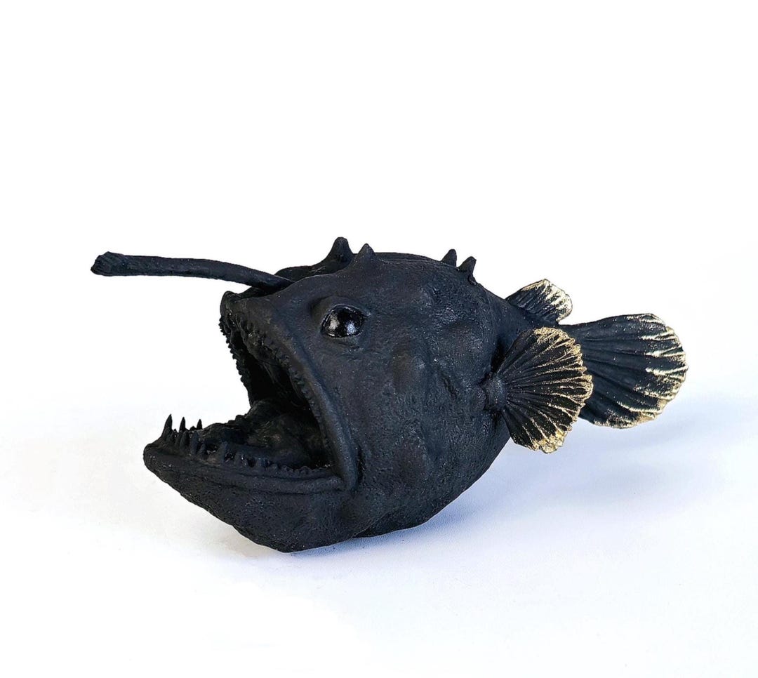 Angler Fish, Fish, Black Angler Fish, Deep Sea Fish, Black Fish, Sea ...
