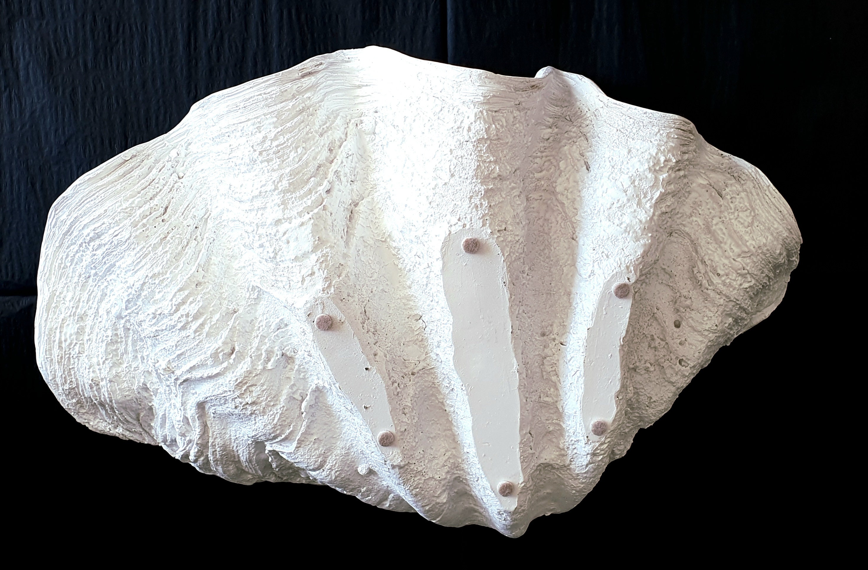 Giant White Clam Shell: Beach Wedding Centerpiece, Large Clam Bowl, - Etsy