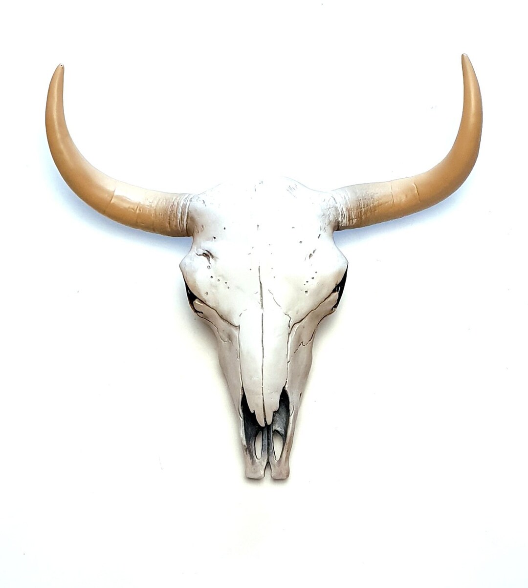 Cow Skull, Skull, Animal Skull, Cow Skull, Boho Decor, Cow Skull Wall ...
