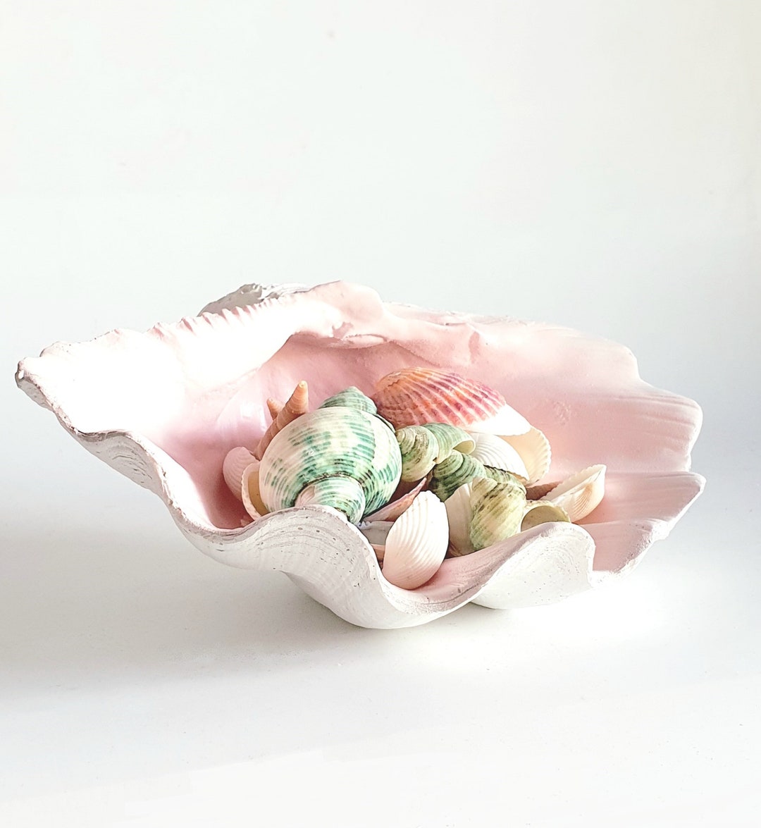 Clam Shell Bowl, Clam Shell, Coastal Decor, Beach Decor, Decorative ...