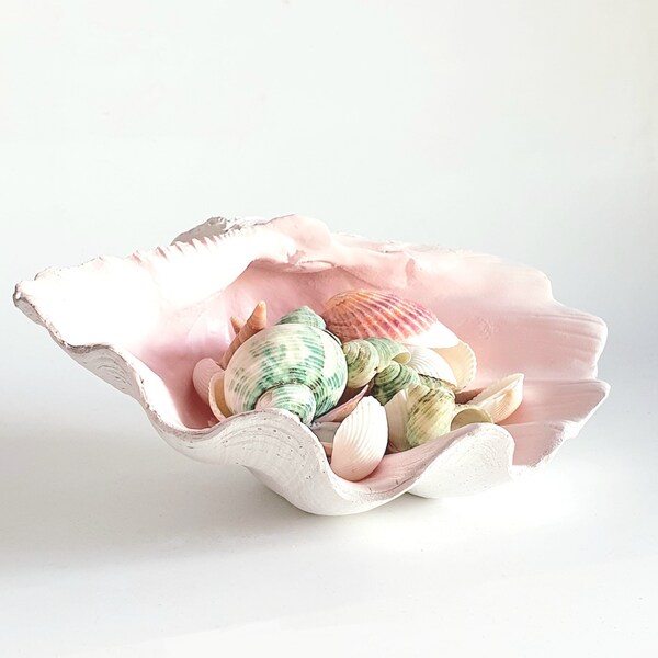 Clam Shell Bowl - Etsy