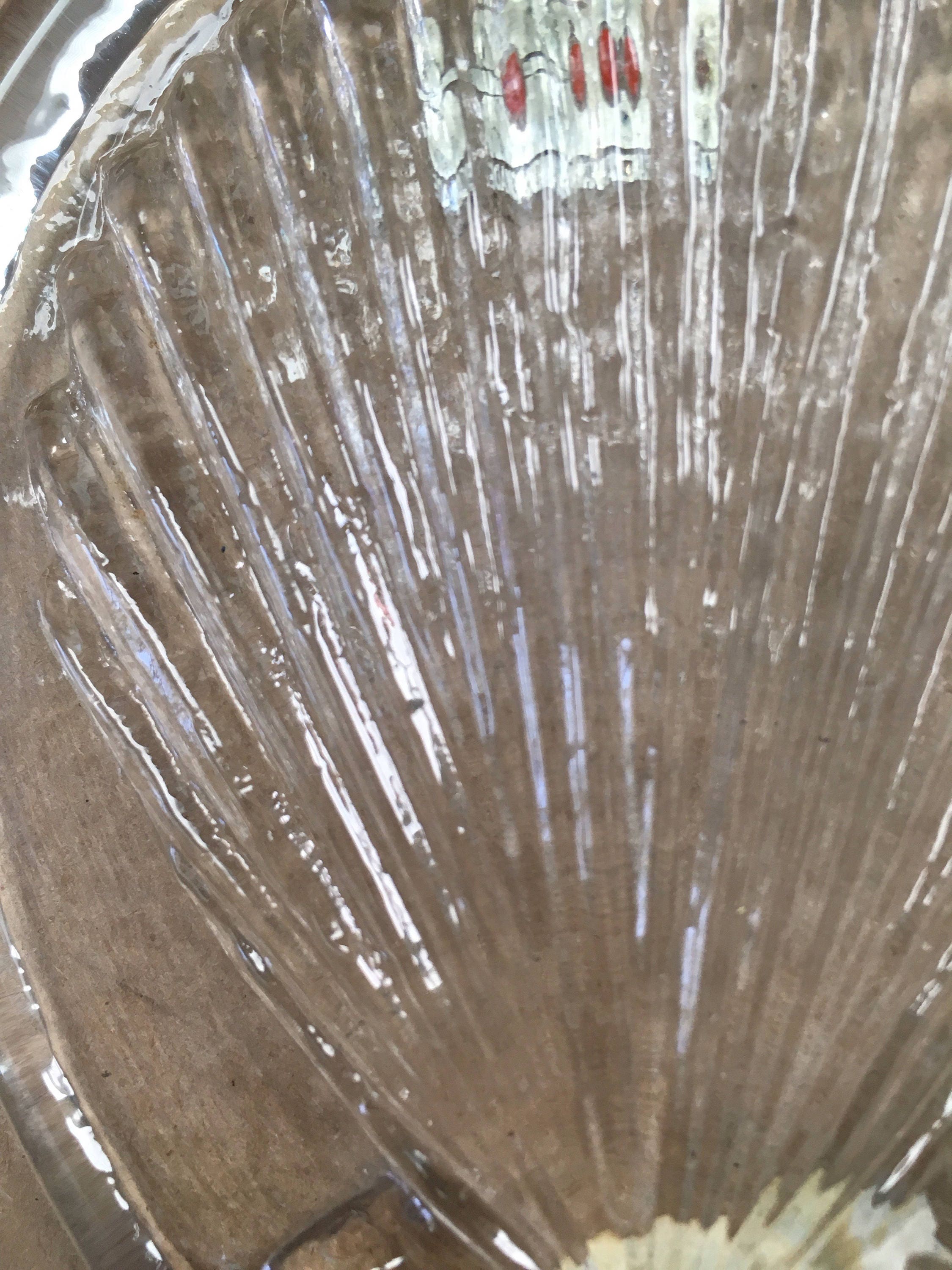 Blenko Clear Glass Paperweight Sea Shell Beach Original Label - Etsy