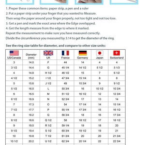 Irish Red and White Setter Ring Sterling Silver 925 Gift for Dog Lovers ...