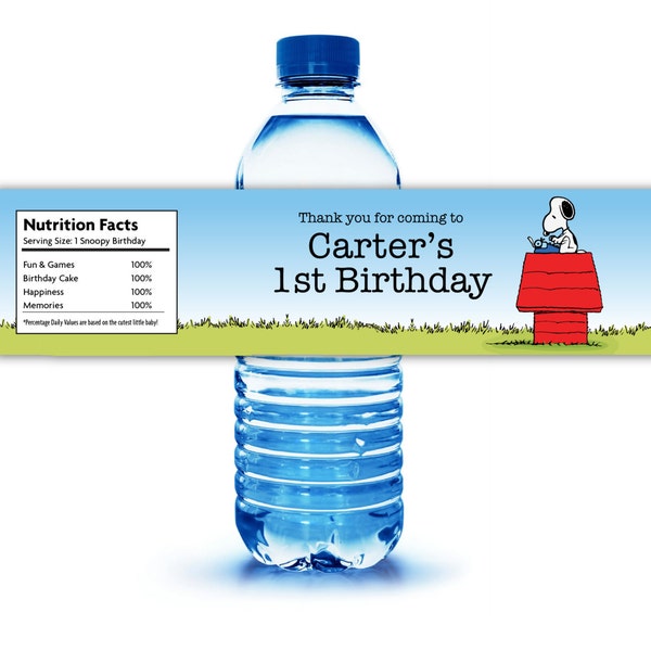 Peanuts Snoopy Water Bottle - Etsy
