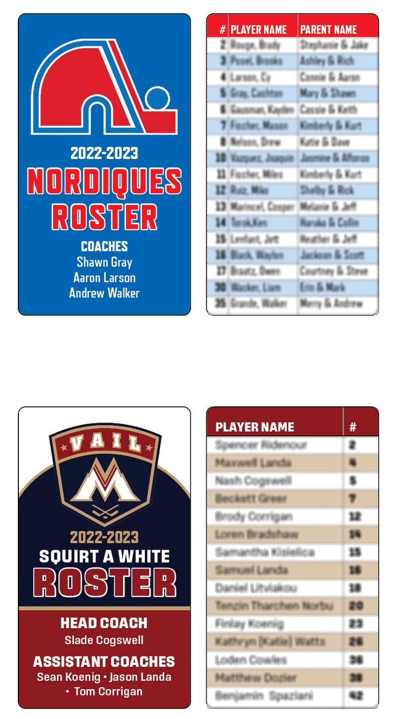 Custom Sports Team Roster Cards: Laminated Business Card Size - Etsy
