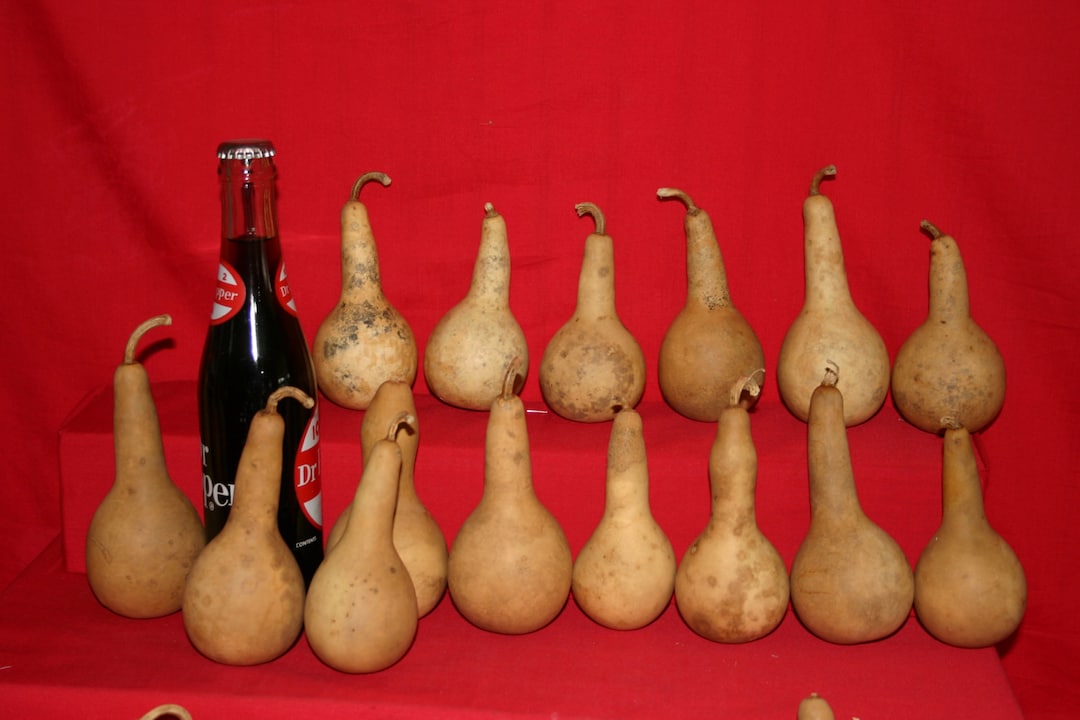 GOURDS 15 Mini Long Handle Dipper Gourds ( Dried & Cleaned) - Etsy