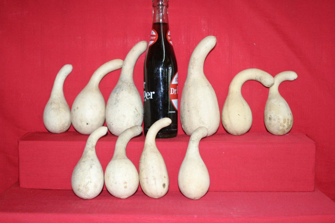 GOURDS 100 Long Handle Spoon Gourds (dried and Cleaned ) - Etsy