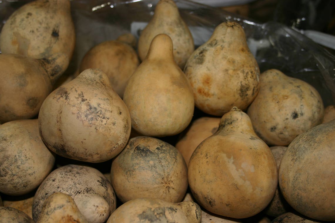 25 Quality Mini Pear Gourds ( Dried & Cleaned) - Etsy