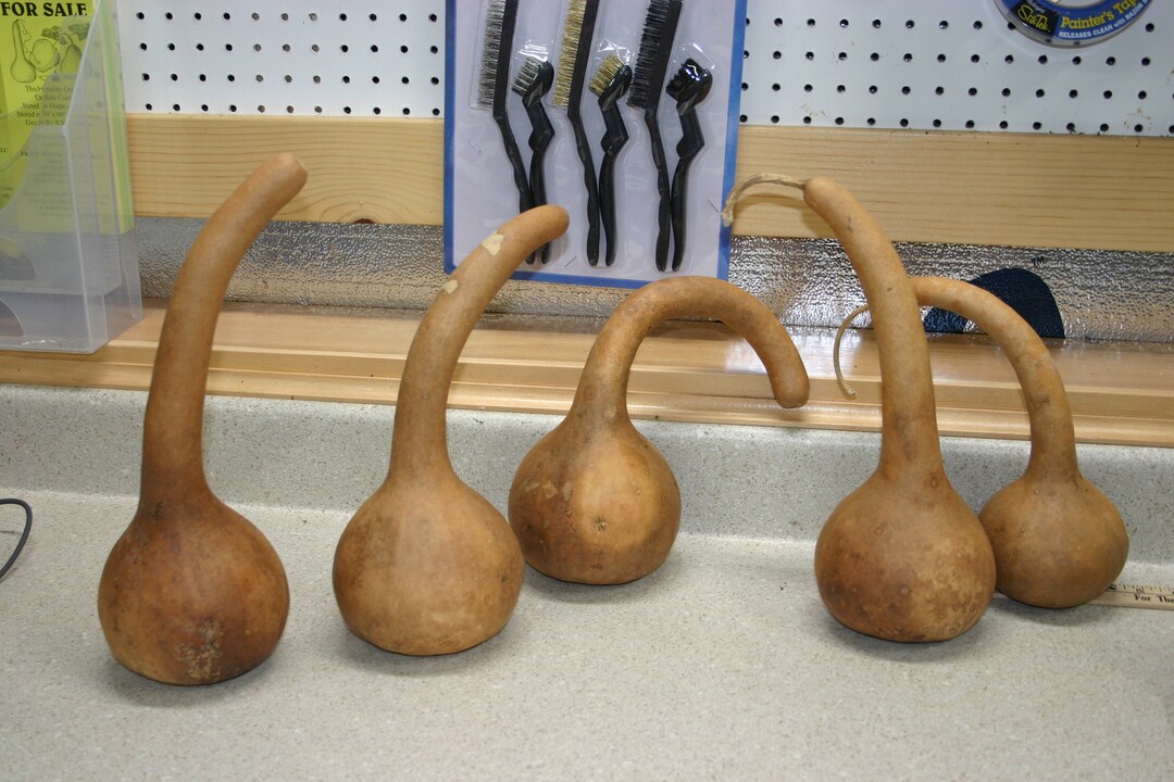 GOURDS Short Handle Dipper Gourds Group of 5 - Etsy