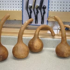 GOURDS Short Handle Dipper Gourds Group of 5 - Etsy