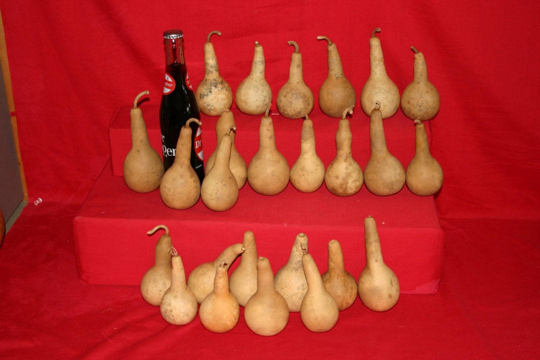 50 Mini Long Handle Dipper Gourds Dried & Cleaned - Etsy