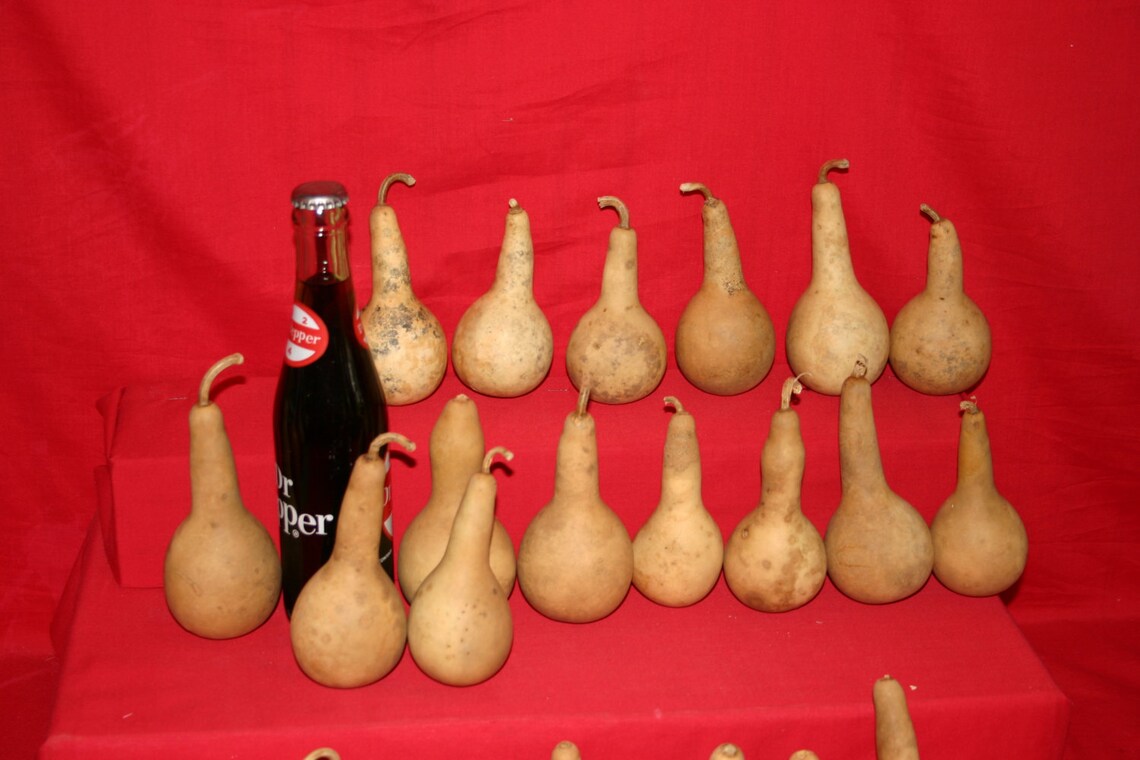 GOURDS 15 Mini Long Handle Dipper Gourds ( Dried & Cleaned) - Etsy