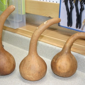 GOURDS Short Handle Dipper Gourds Group of 5 - Etsy