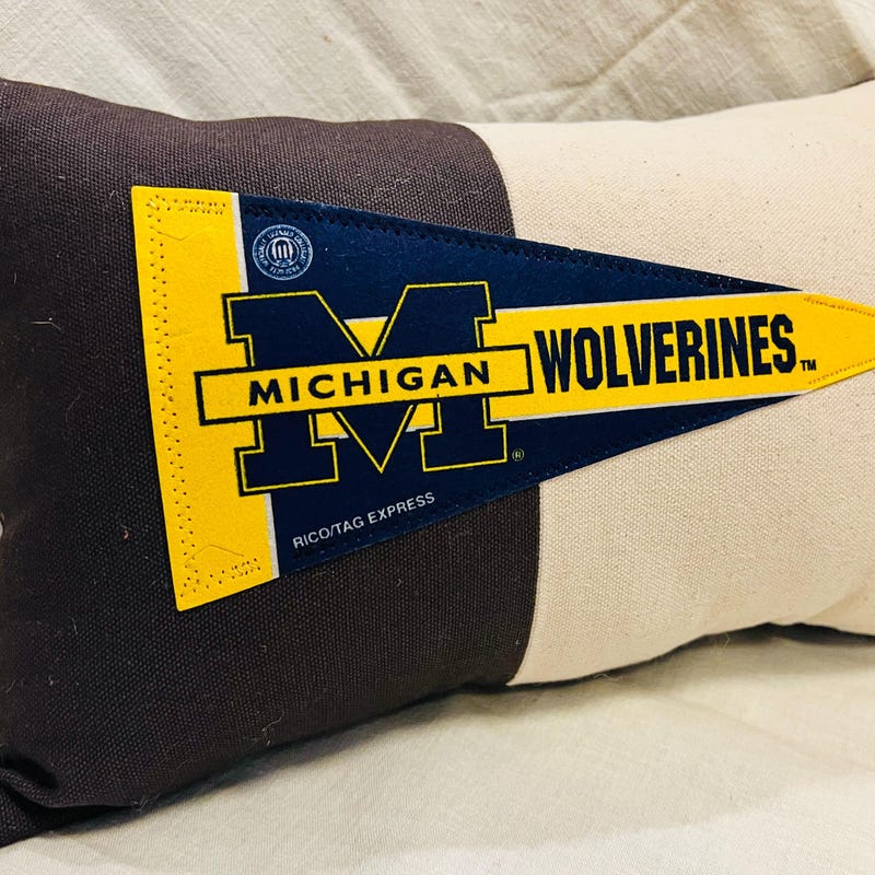 Michigan Pillow - Etsy