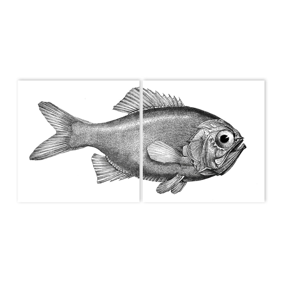 Tile Decal Set of 2 fred | Etsy