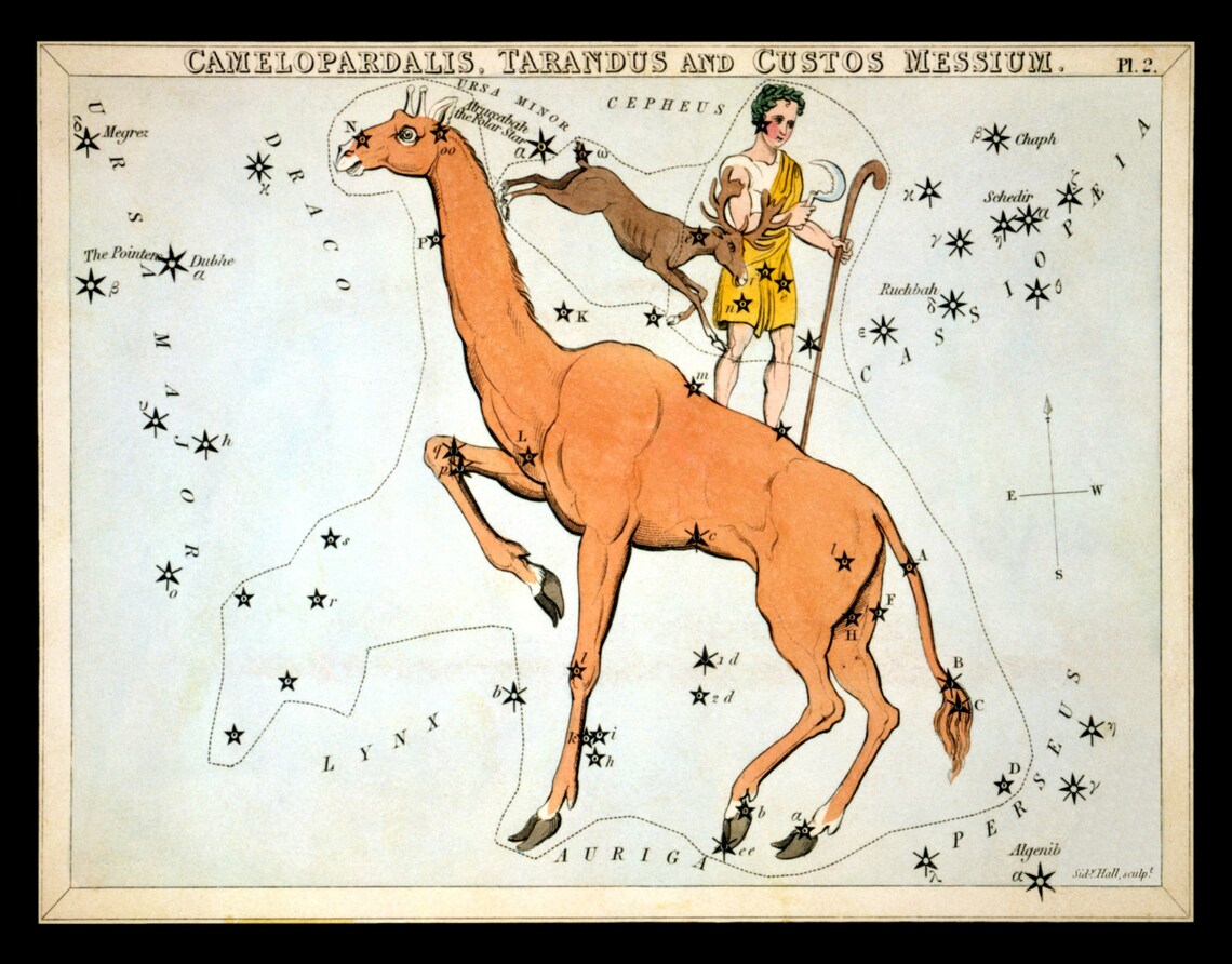 Camelopardalis Camel Shepherd Reindeer Constellation ZODIAC Star Chart ...