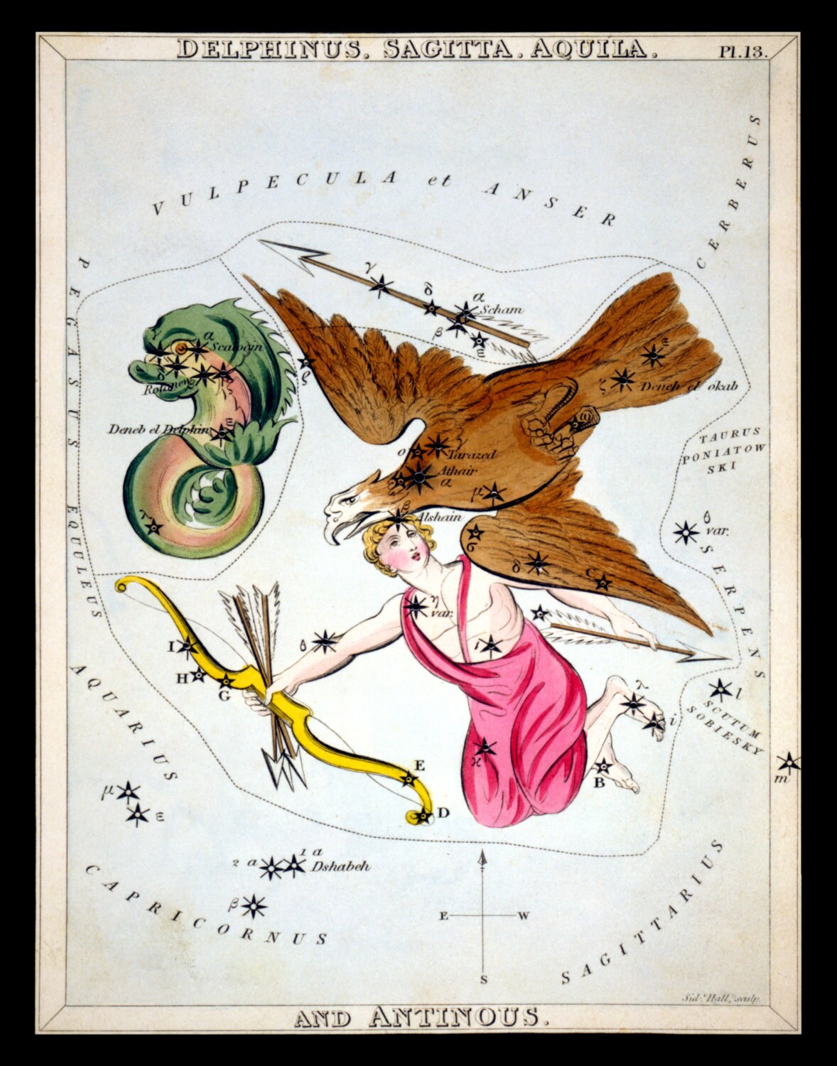 Delphinus, Sagitta, Aquila, and Antinous Constellation ZODIAC Star ...