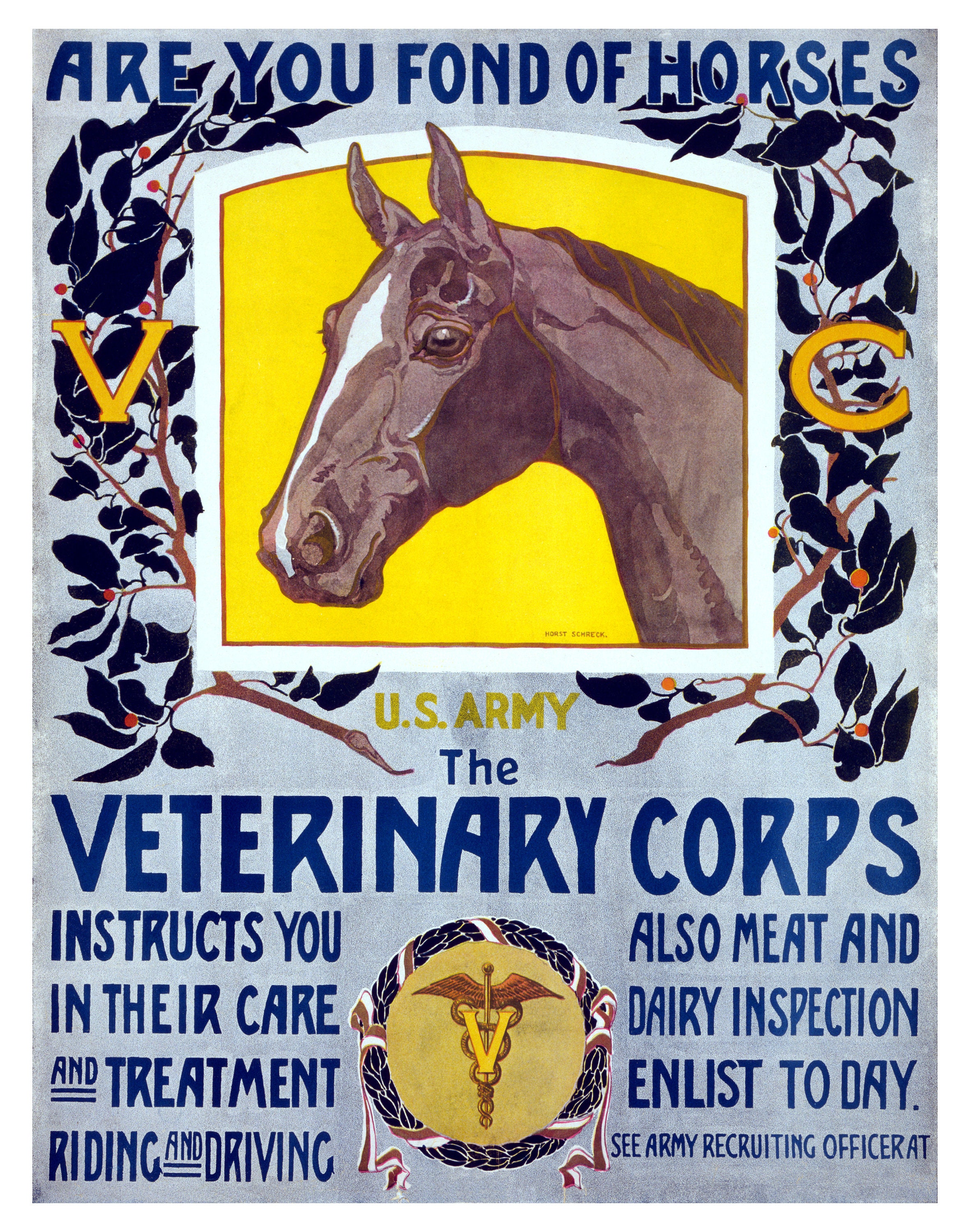 Veterinary Corps WWI Vintage Digitally Remastered Fine Art Print ...