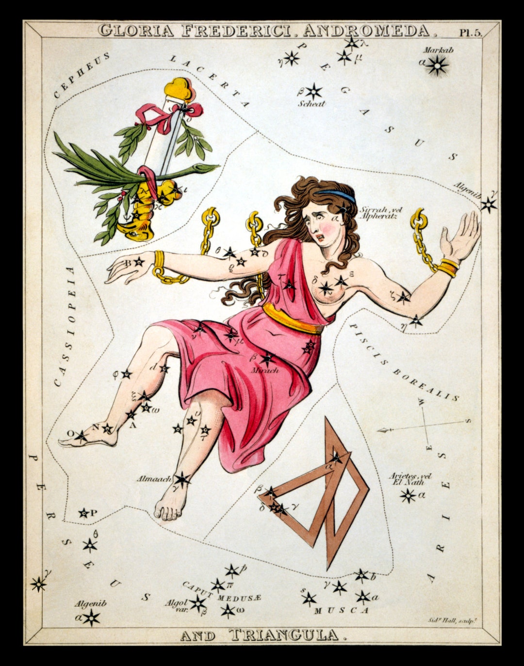 ANDROMEDA Constellation ZODIAC Star Chart ASTRONOMY Astrology Digitally ...