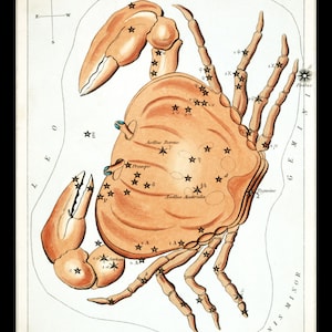 CANCER June July Constellation ZODIAC Star Chart ASTRONOMY Astrology ...