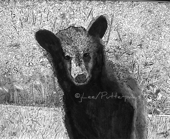 Items similar to Pen & Ink Drawing Black Bear Watercolor Giclee Print ...