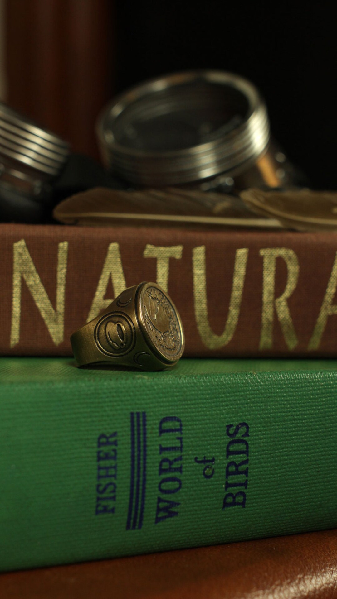 Brother to Dragons Signet Ring // Unisex // Special Edition Nite Owl ...