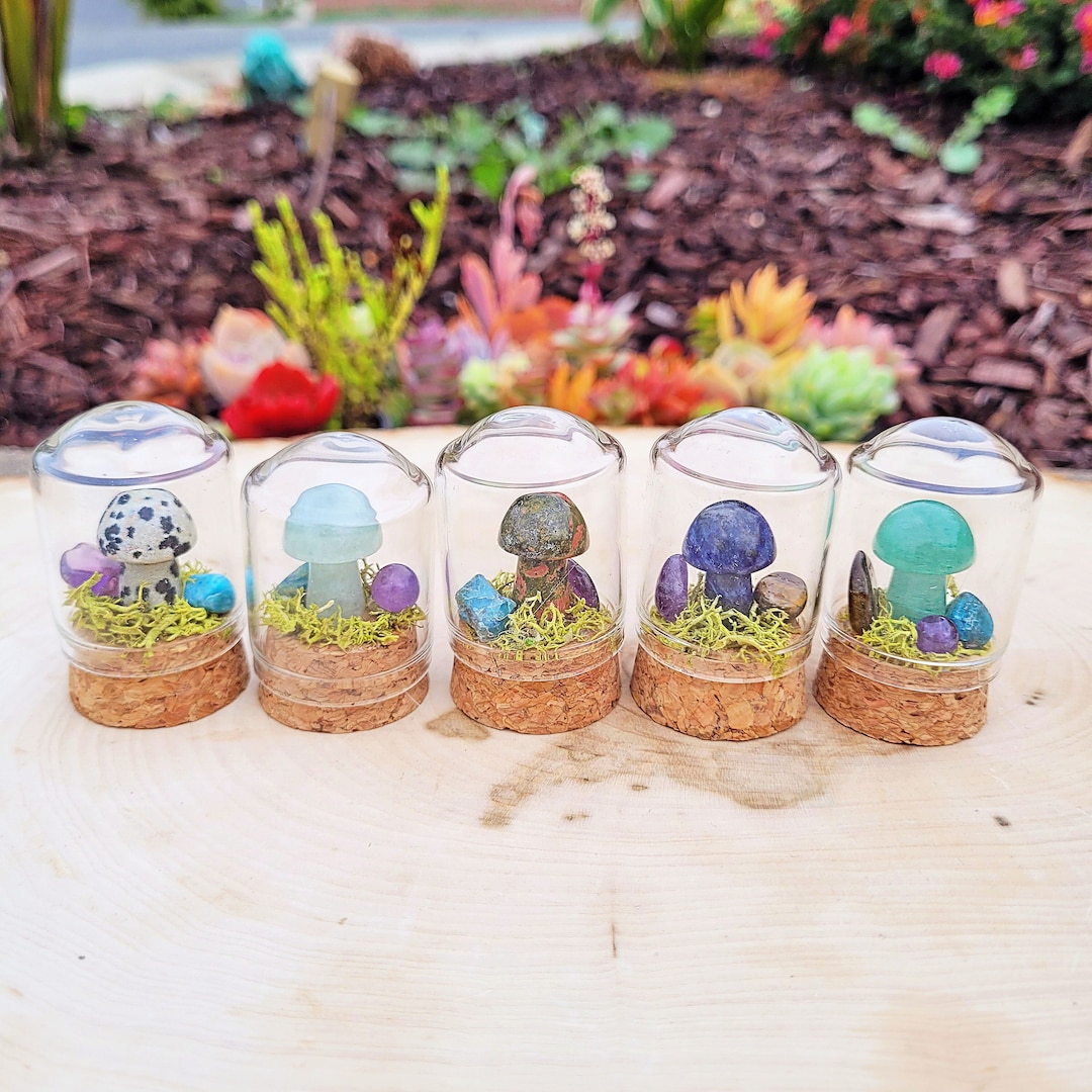 Mushroom Crystal Terrarium | Mushroom Specimen Bottle | Tiny Fairy ...