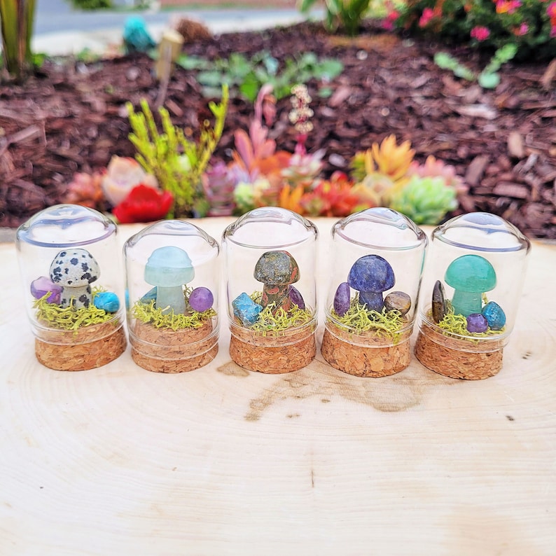 Mushroom Crystal Terrarium Mushroom Specimen Bottle Tiny - Etsy