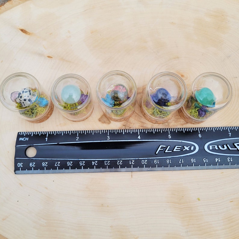 Mushroom Crystal Terrarium Mushroom Specimen Bottle Tiny - Etsy