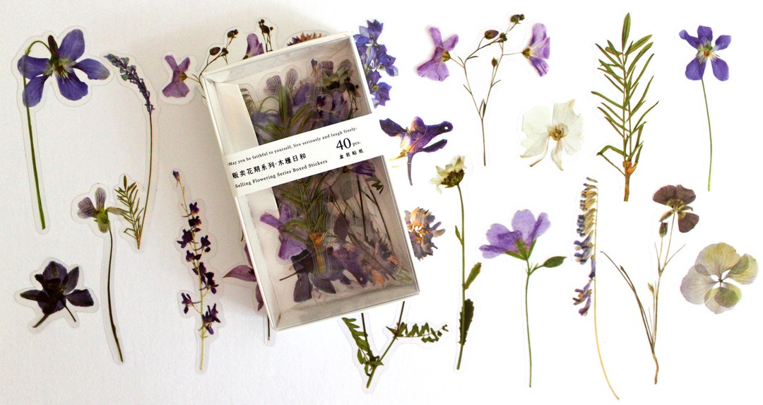 Flower Box Seriespurple Floral Stickers40 Pcs Transparent Flower ...