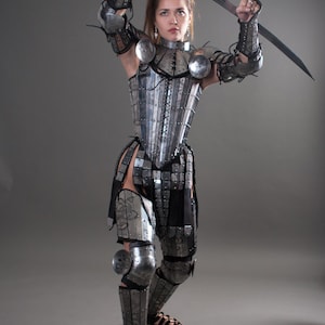 Armstreet lady Warrior Stainless Steel Leg Armor Splint Leg Protection ...