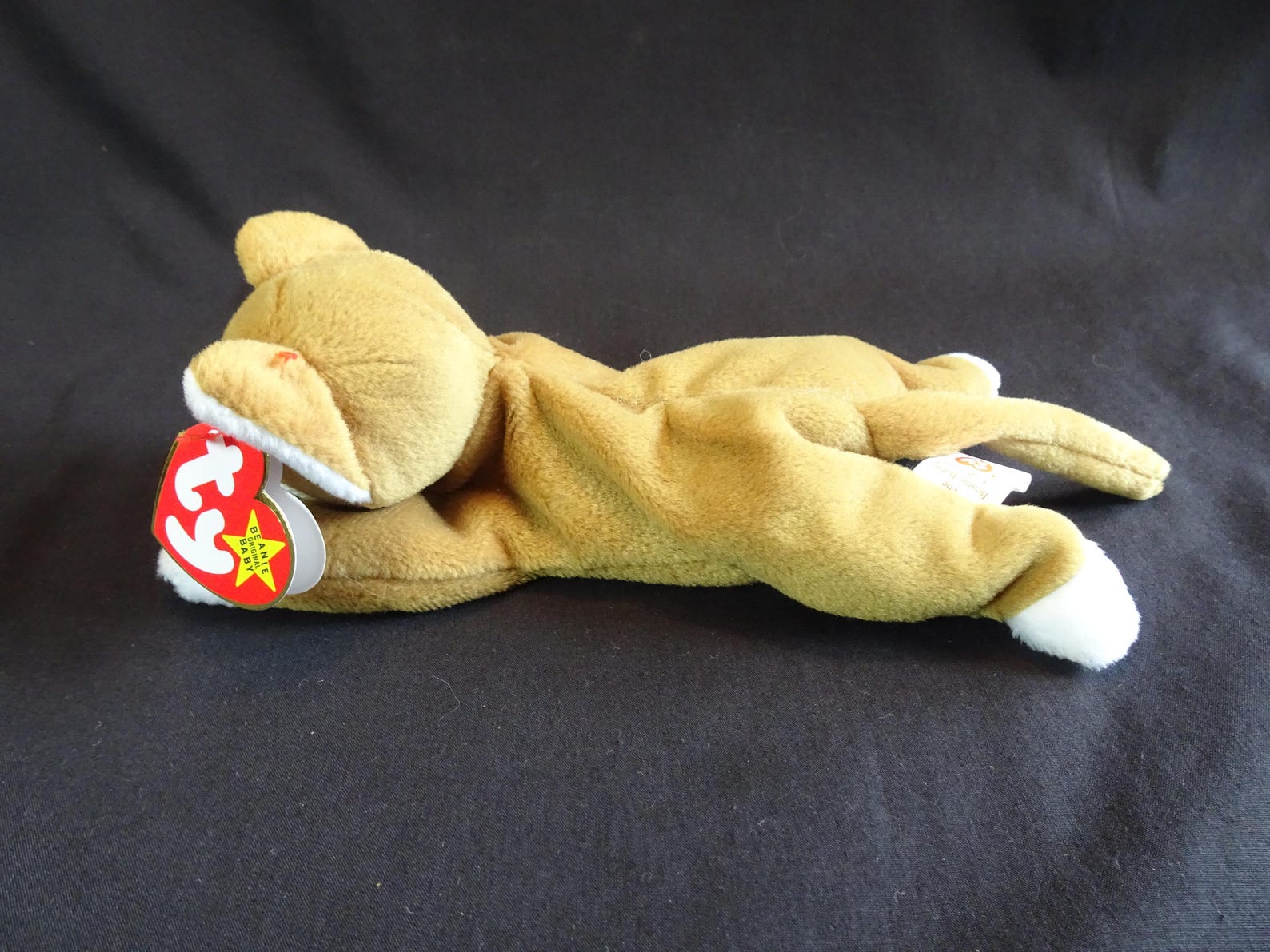 Beanie Baby Stuffed Toy, Roary Lion, Bongo Monkey, Nip Kitty Cat ...