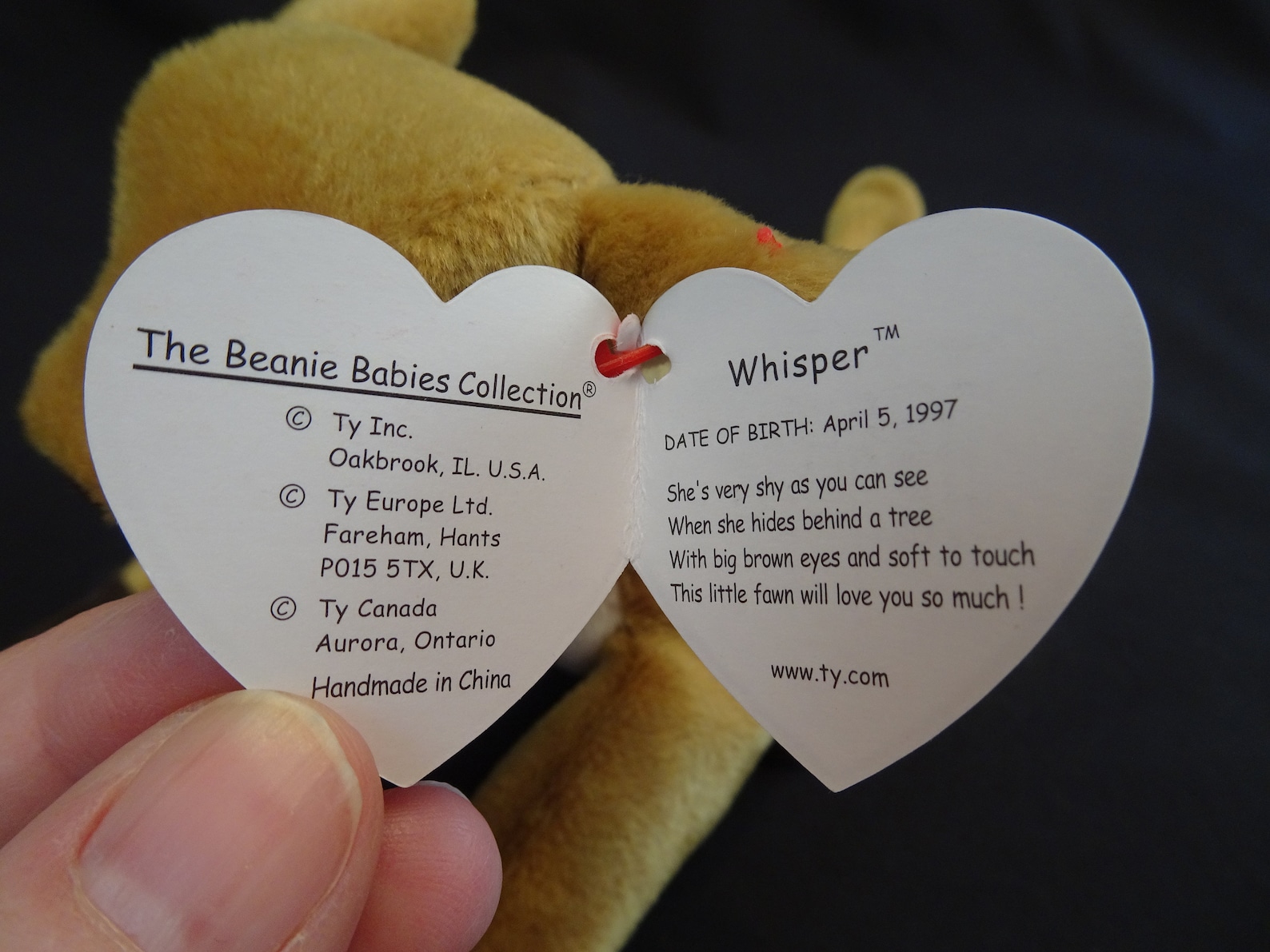 Beanie Baby Stuffed Toy Roary Lion Bongo Monkey Whisper - Etsy