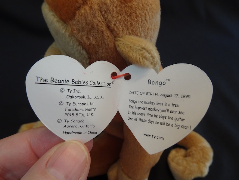 Beanie Baby Stuffed Toy, Roary Lion, Bongo Monkey, Nip Kitty Cat ...