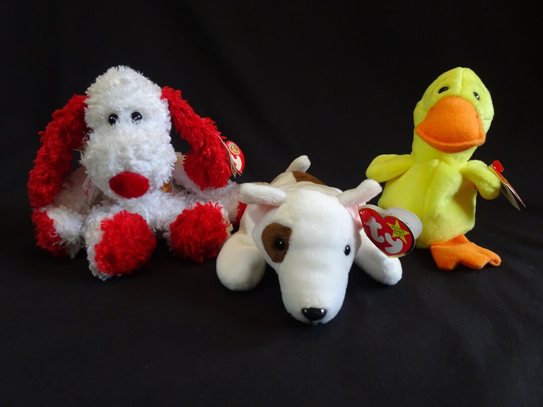 Beanie Baby Stuffed Toy, Adonis Puppy, Butch Bull Terrier Dog, Quackers ...